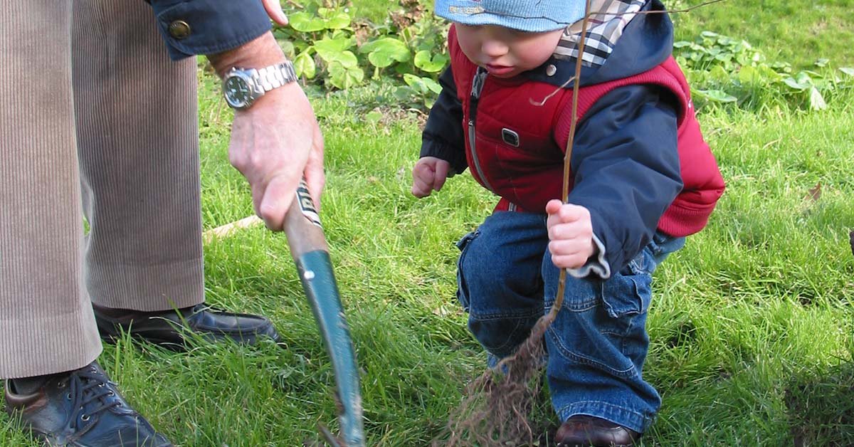 Why Plant Trees - An Introduction from TCV Conservation Handbooks